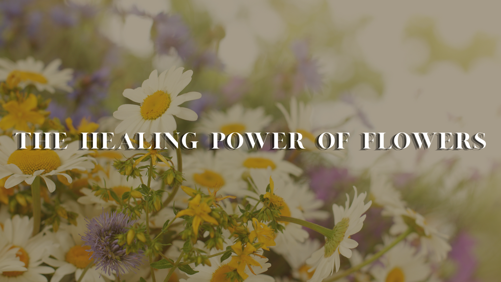 The Healing Power of Flowers: Balance Your Wellness With Nature's Mood ...