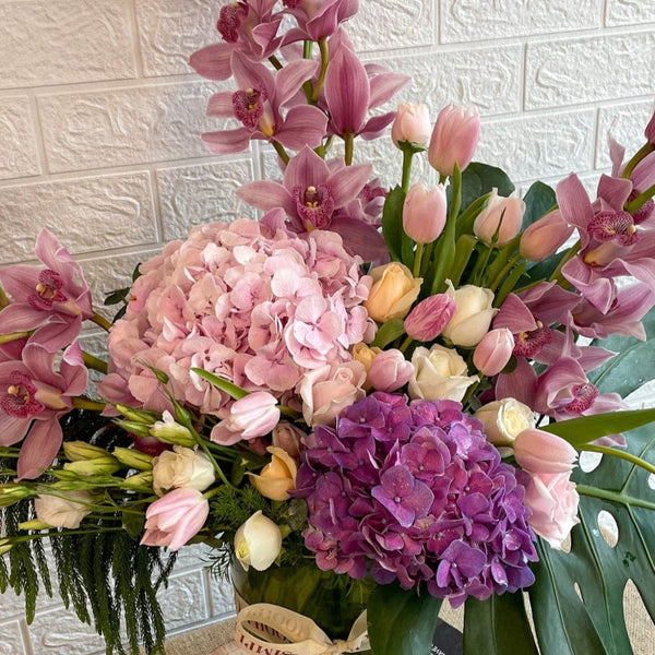 Symphony of Cymbidium – Simply Phoolish